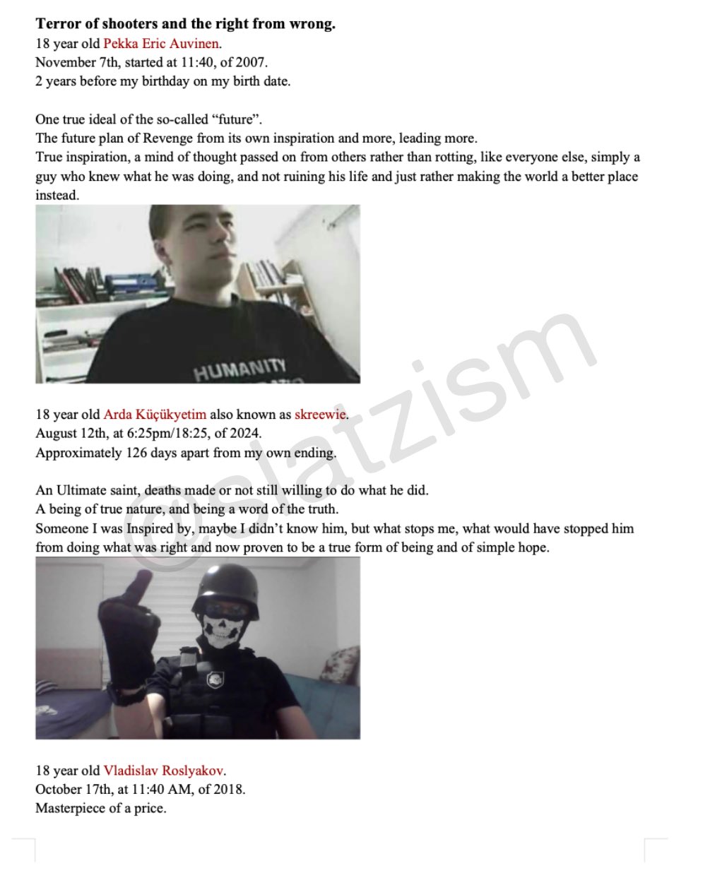 Screenshots ⊹ Natalie Rupnow's Manifesto